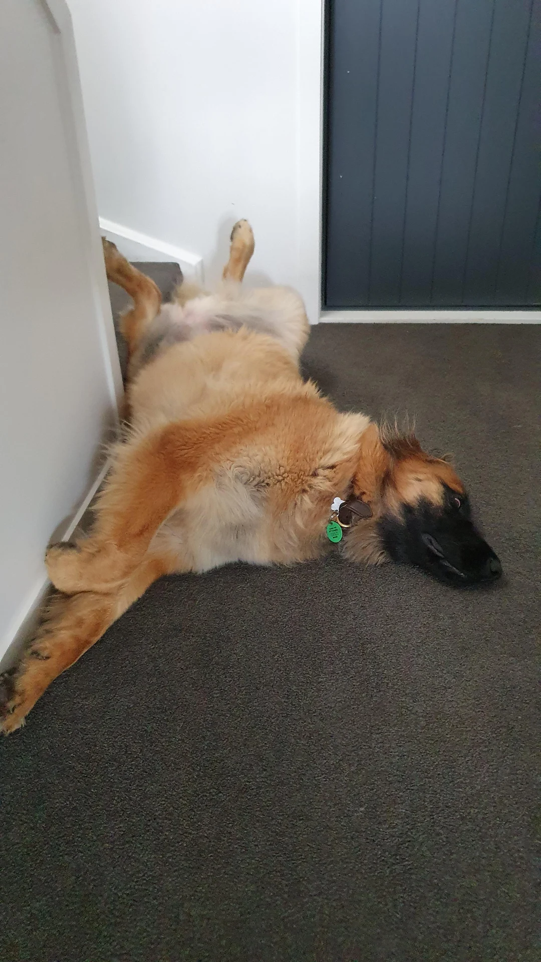 trip hazard always watching. | Scrolller