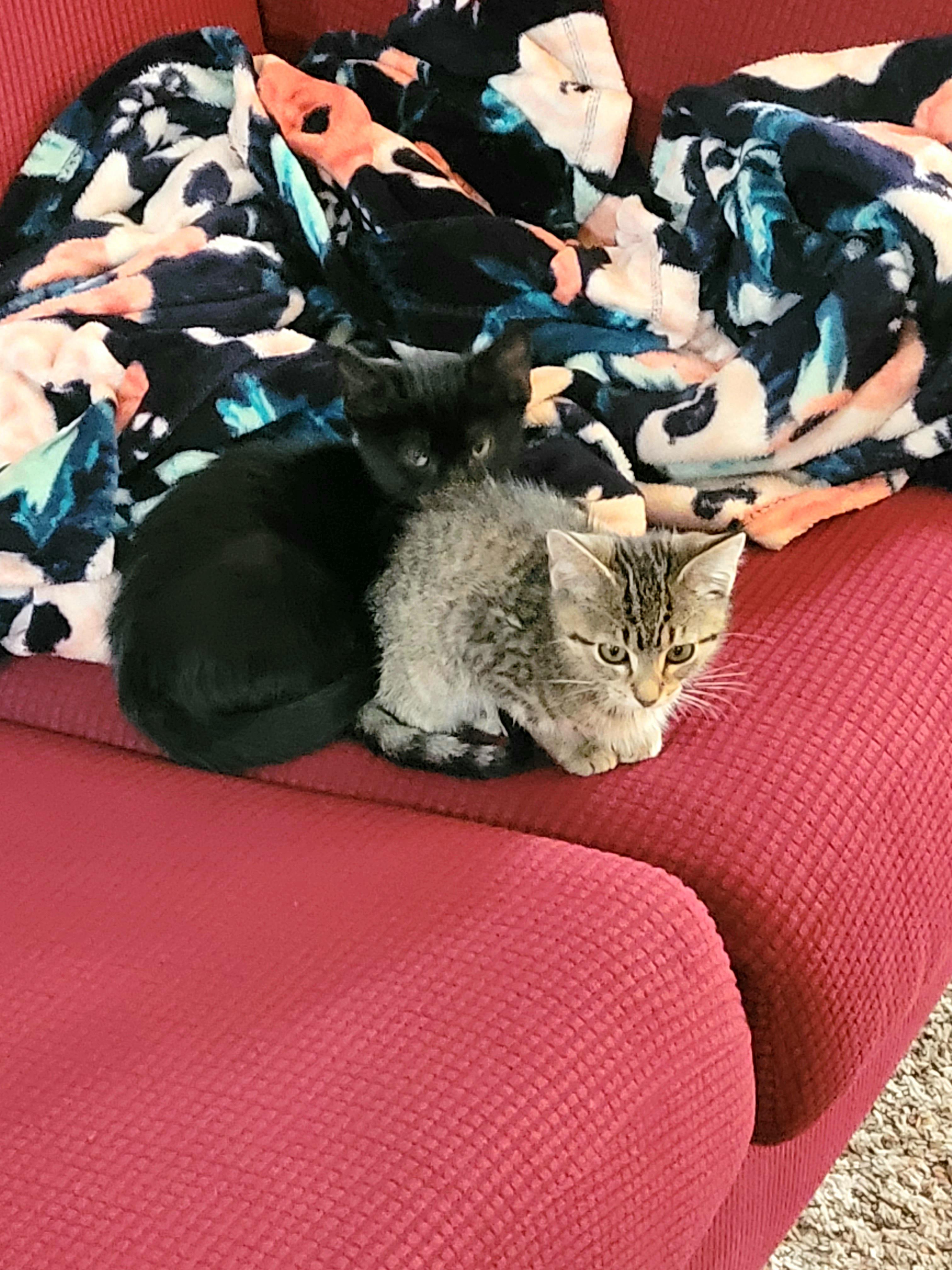 The tiniest loaf | Scrolller