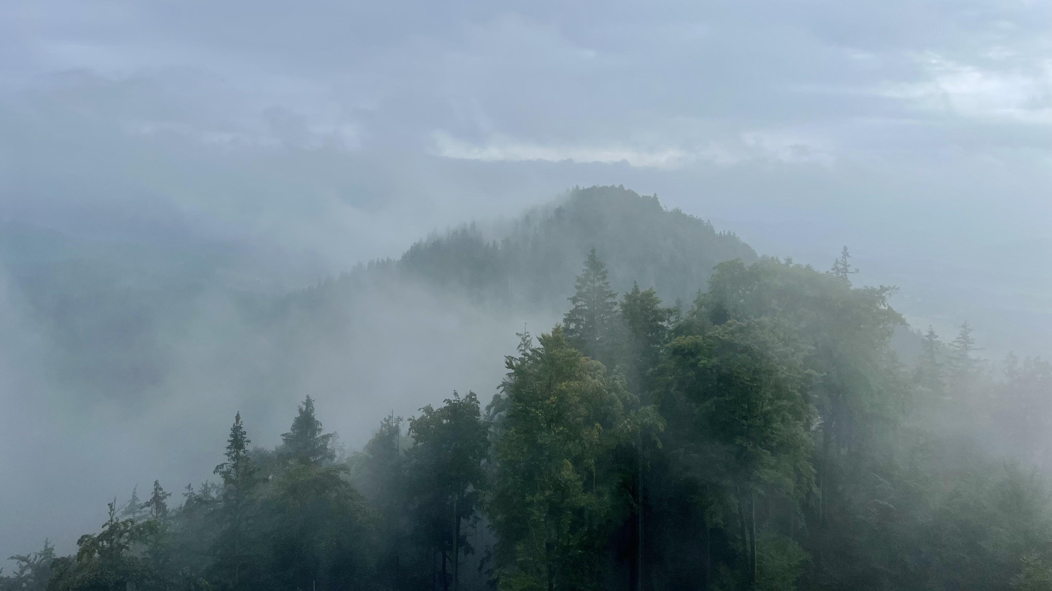 Foggy Mountain Forest - Karkonosze Poland | Scrolller