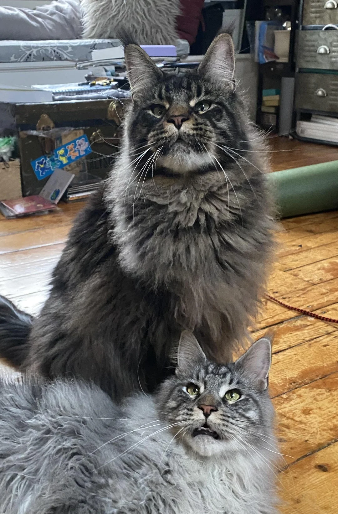 Brothers forever... | Scrolller