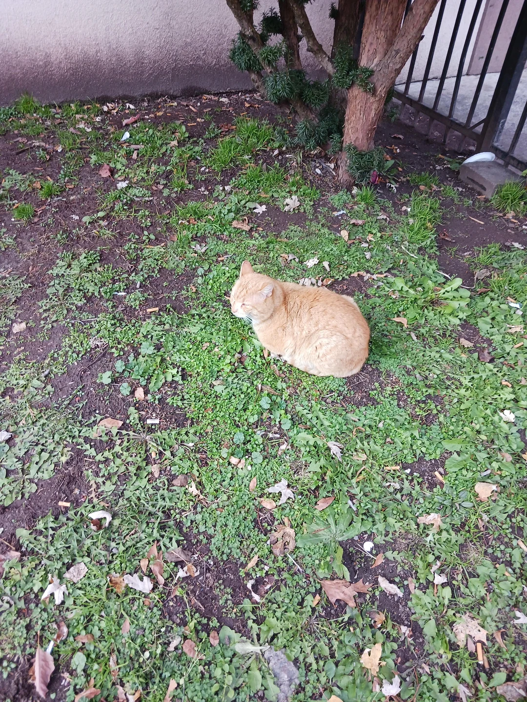 Outside loaf | Scrolller