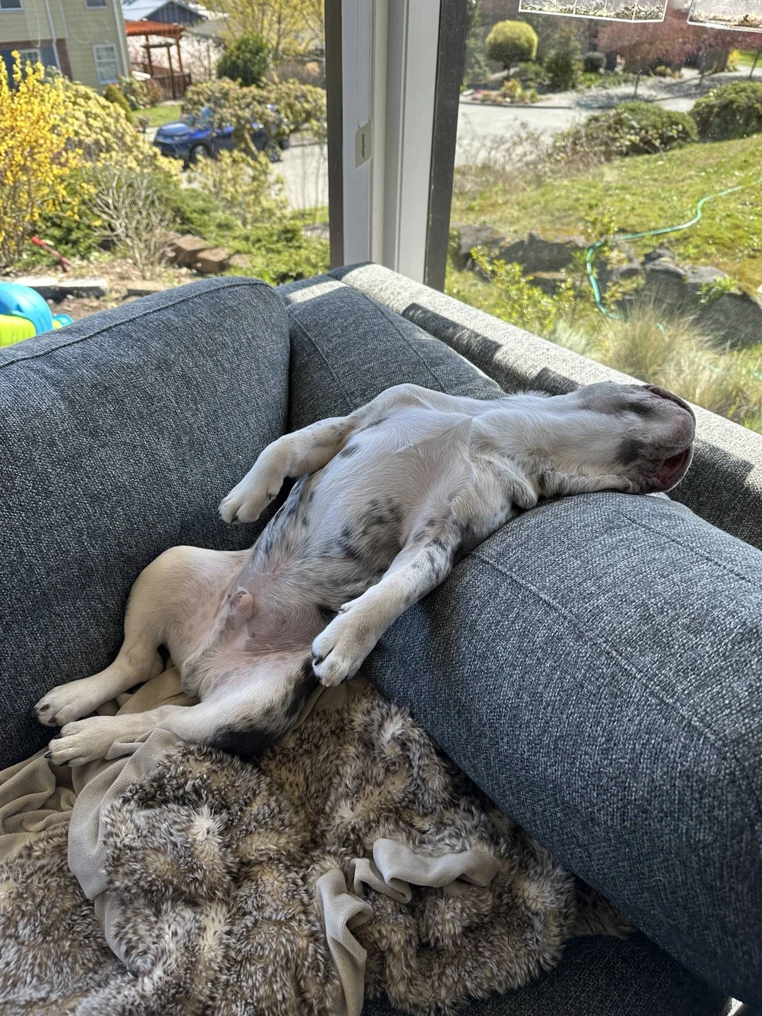 Fast asleep. | Scrolller