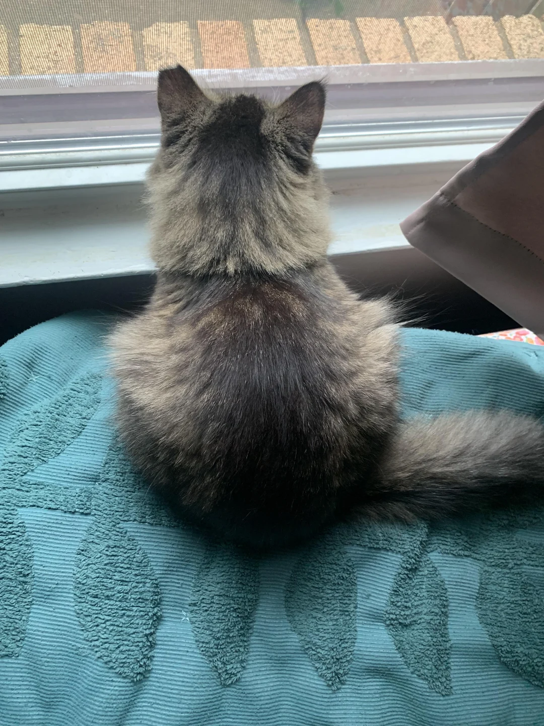 Smol loaf | Scrolller