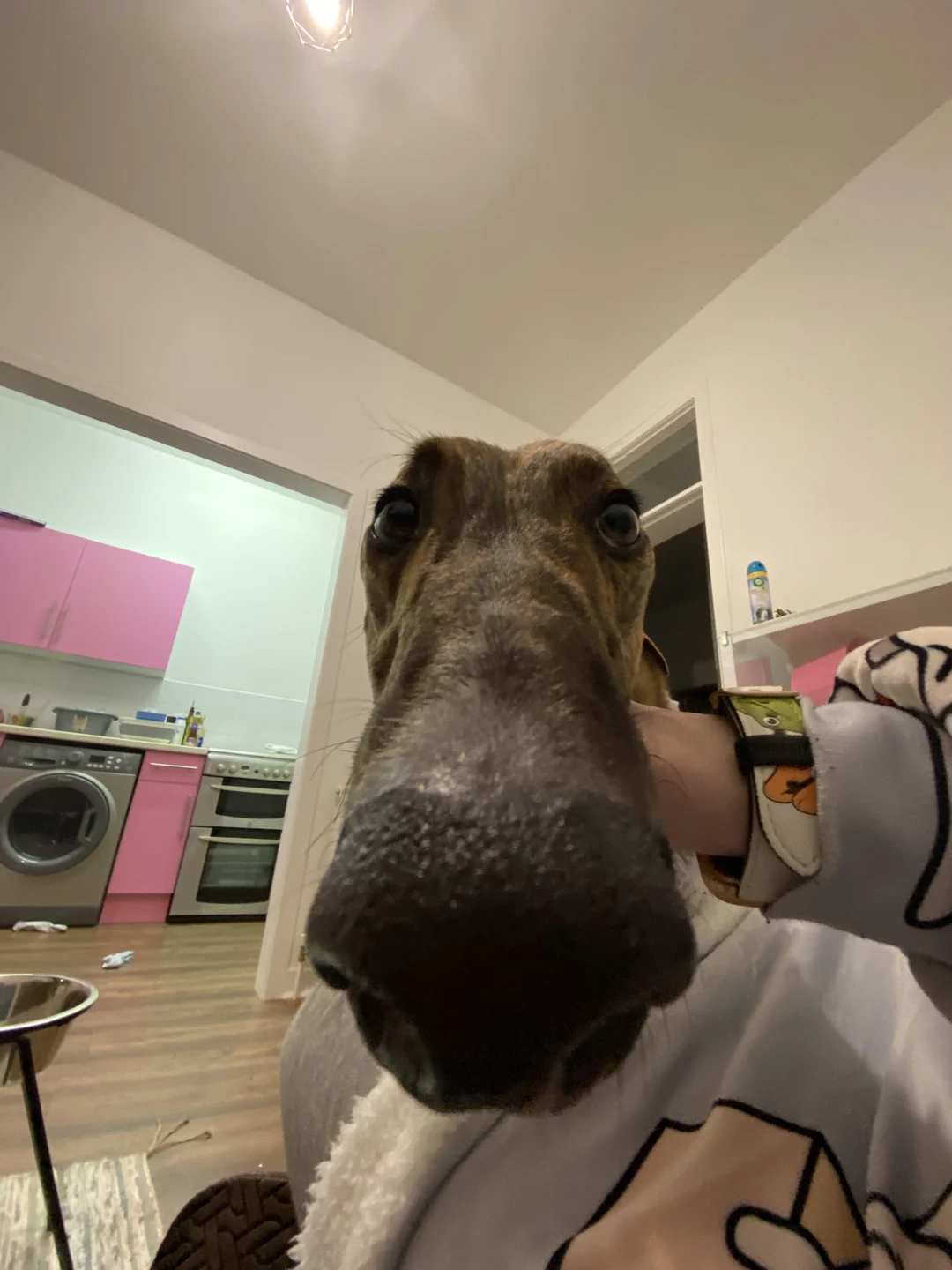 Flattering angle | Scrolller