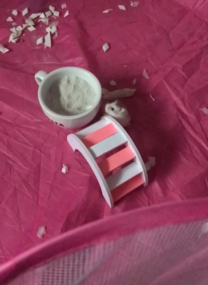 Robo kicking sand everywhere | Scrolller