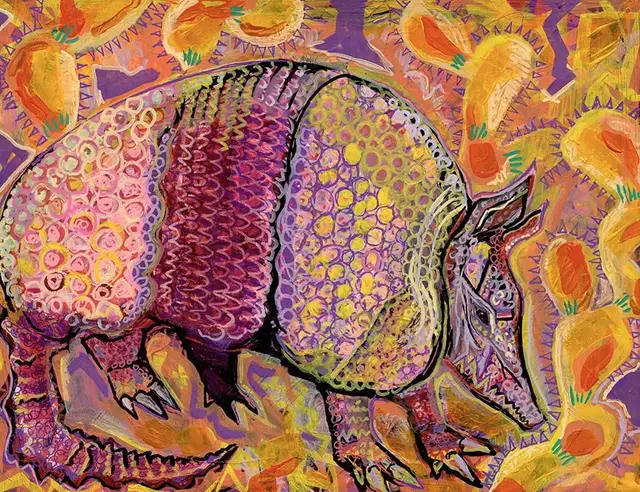 Sunshine Armadillo | Scrolller