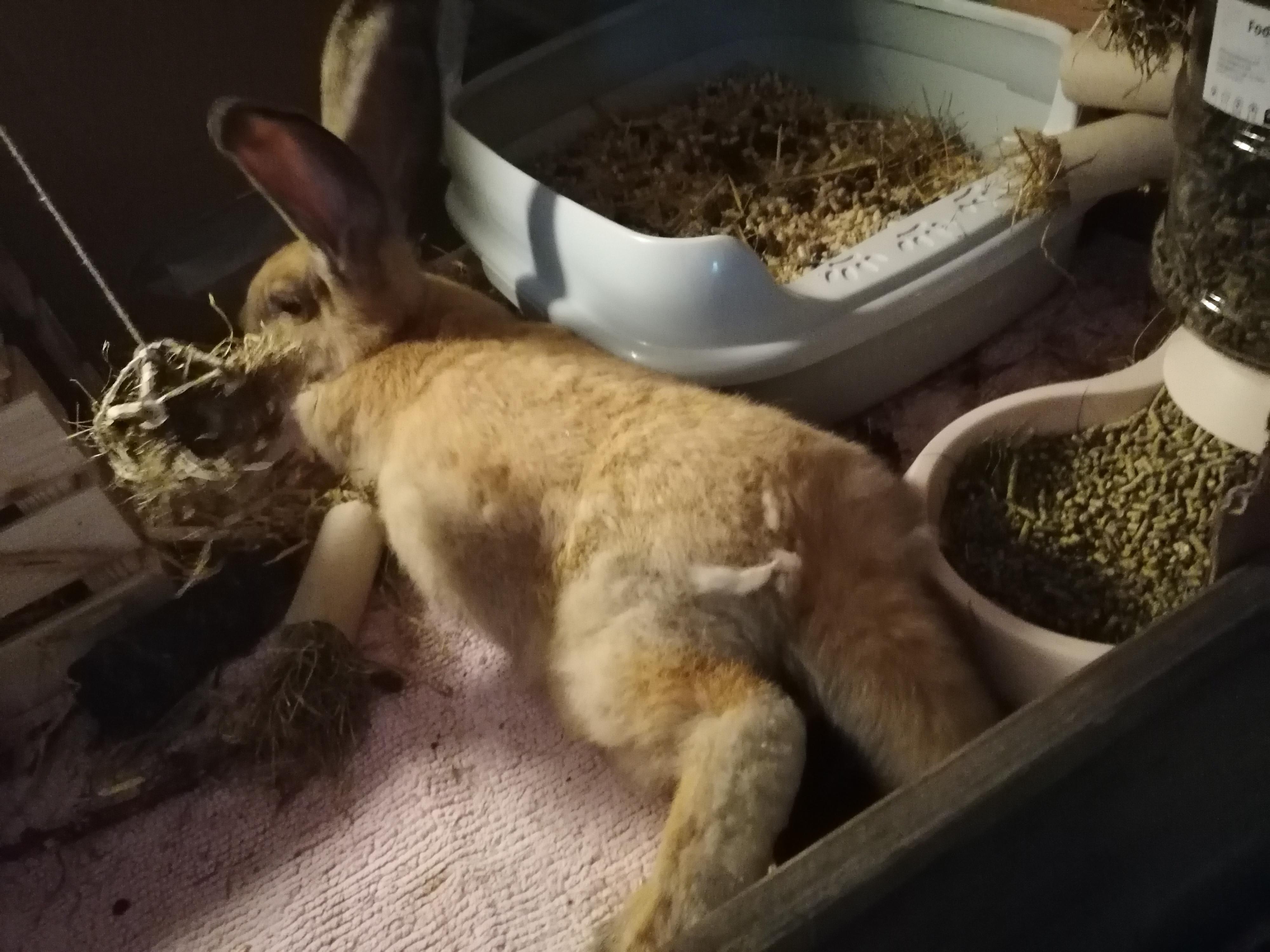 Ragnar is so cute I love him | Scrolller