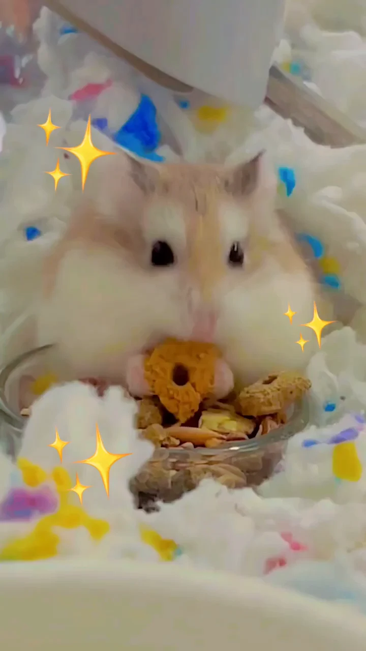 enjoy gomez snacking 💕 | Scrolller