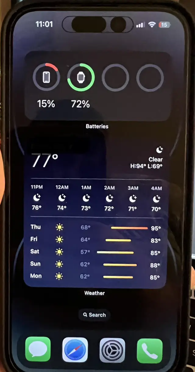 Dynamic Island bug only showing the cutouts | Scrolller