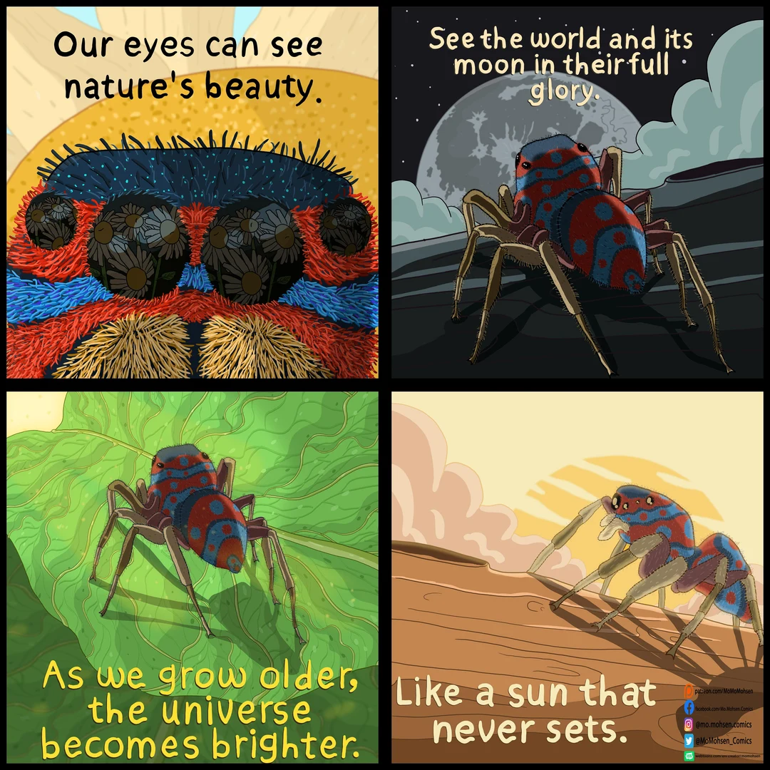 [OC] Umwelt: The Jumping Spider (The Full Comic is in the comments) | Scrolller