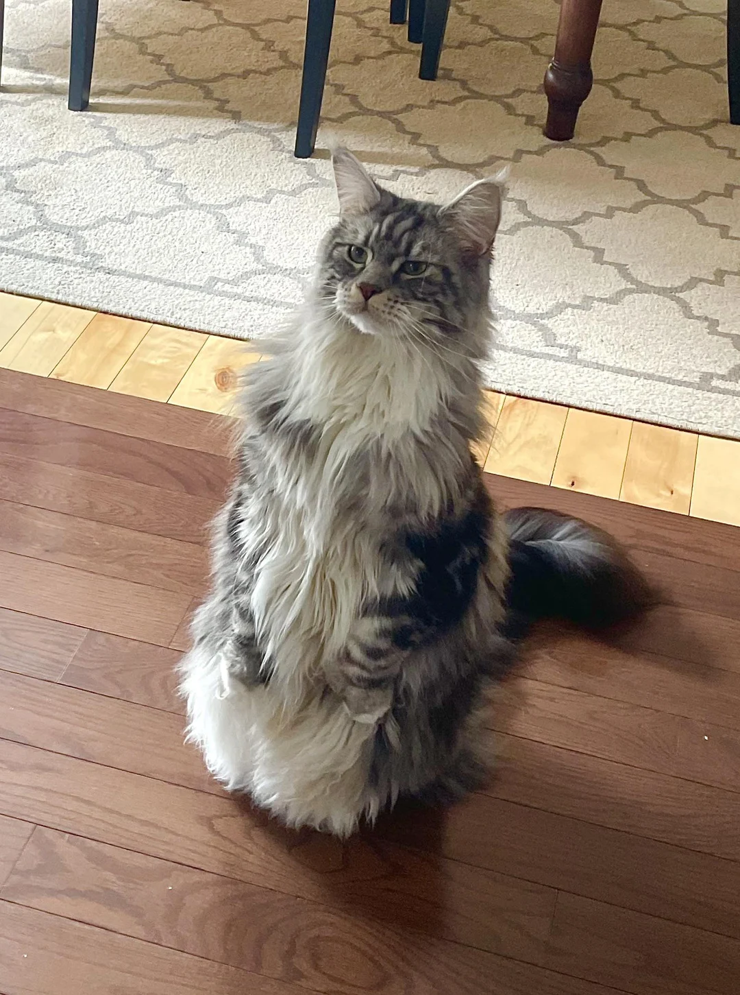 Periscope mode activated! | Scrolller