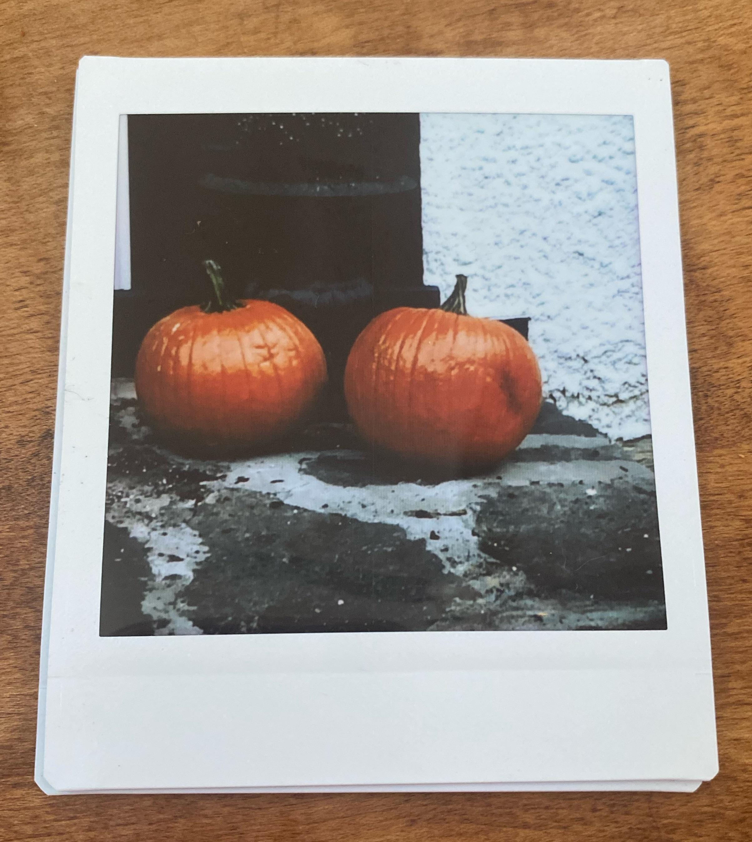 Pumpkins | Scrolller