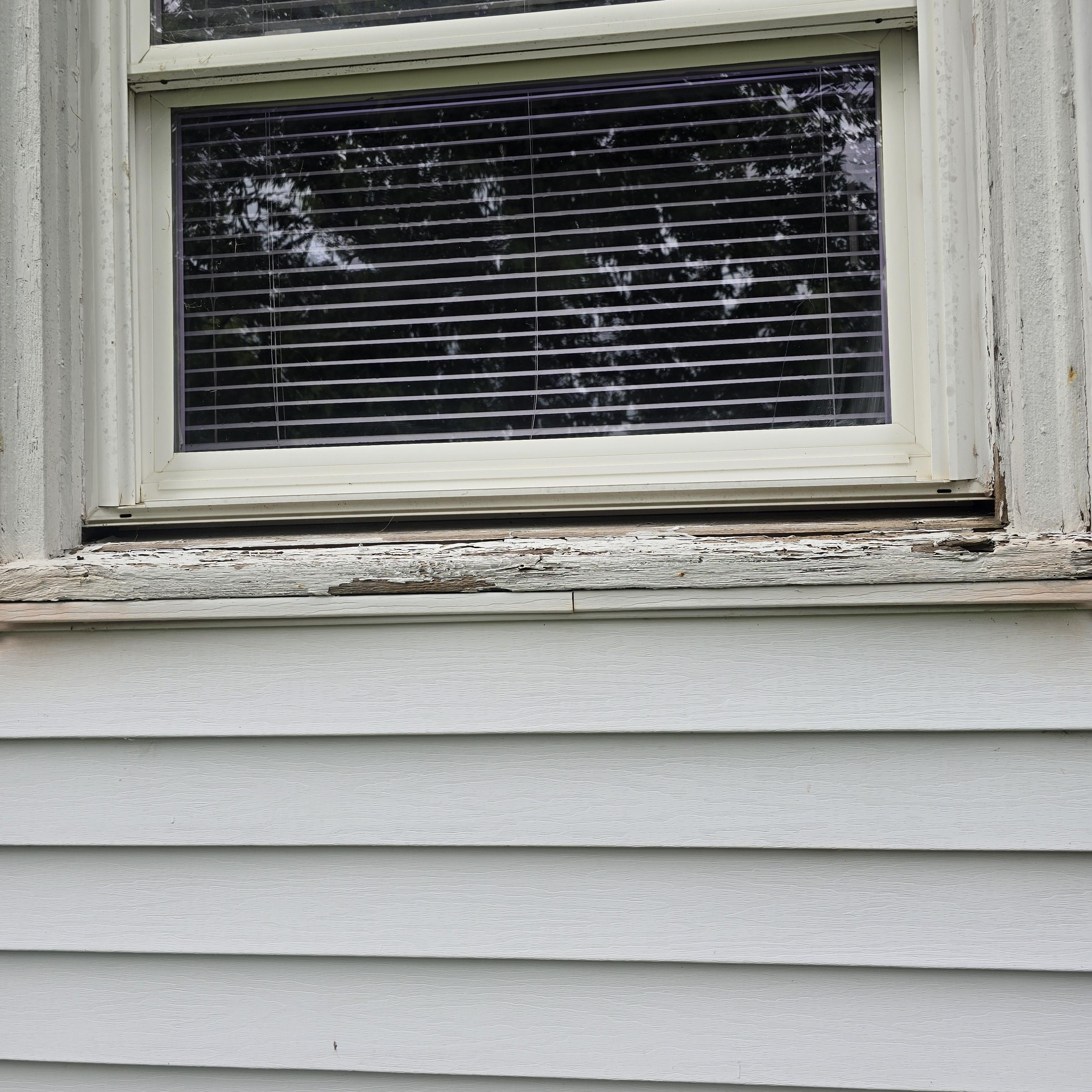 Termite damage? | Scrolller