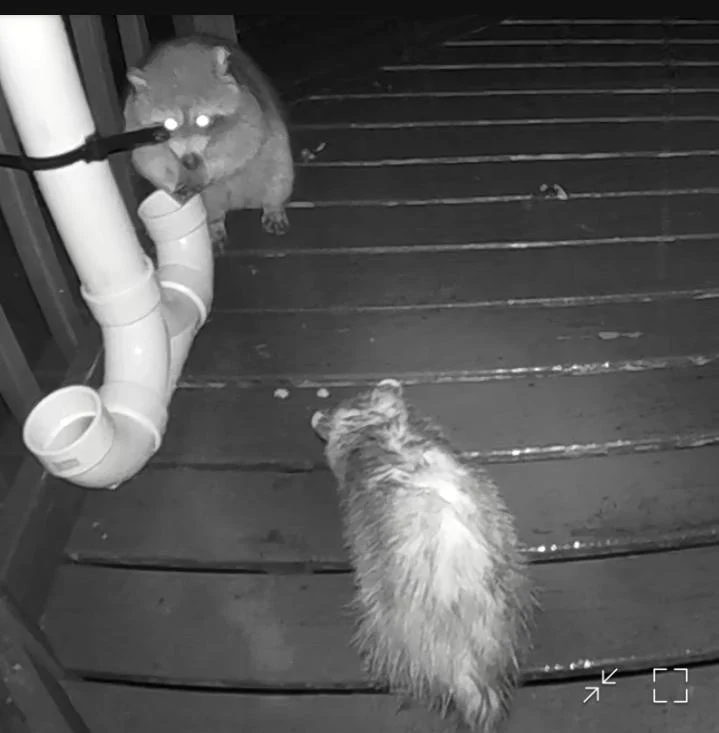 Standoff | Scrolller