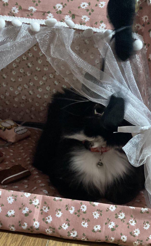 Jaws (1975) | Scrolller