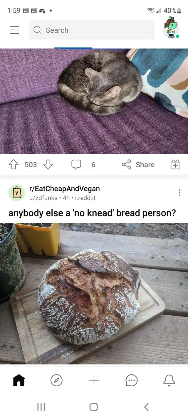 My Feed Also Contained 2 Perfect Loaves! | Scrolller