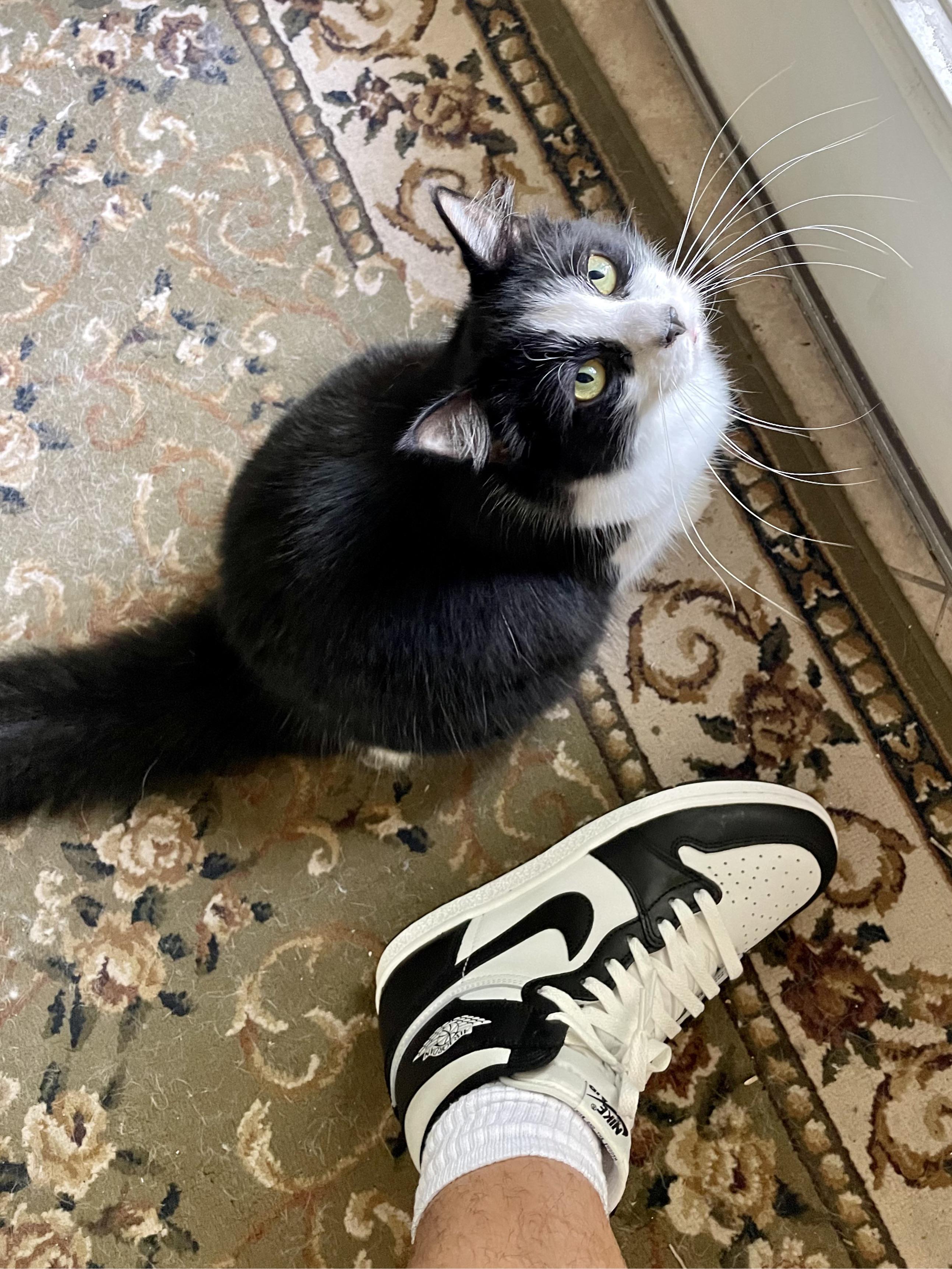 Matching | Scrolller