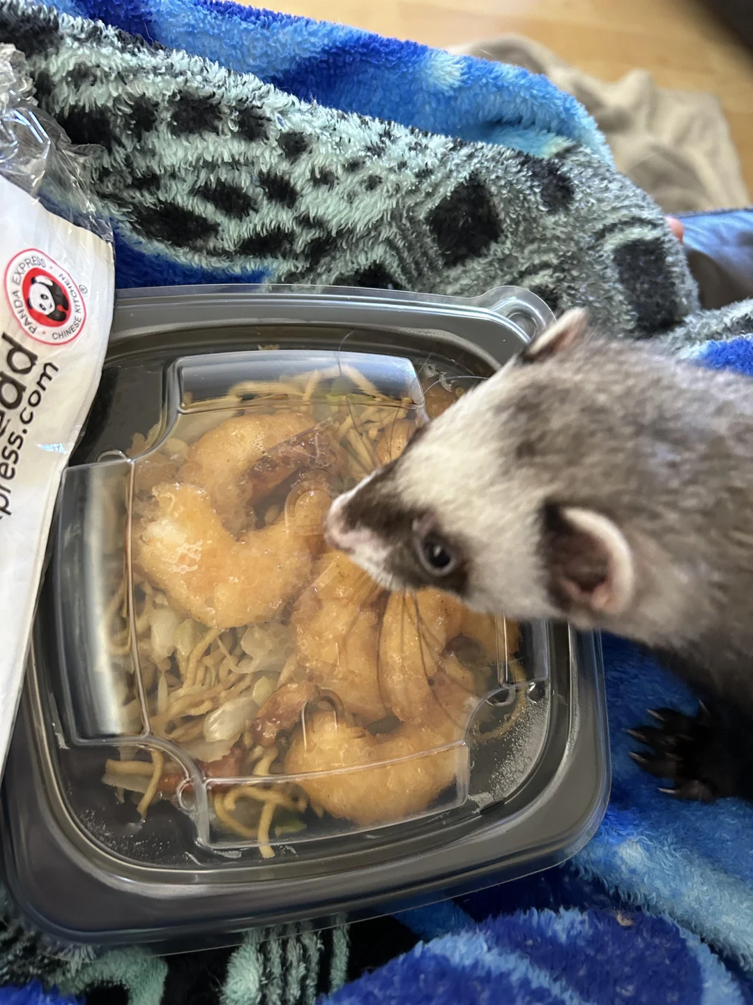 MUST. HAVE. SHRIMP!! | Scrolller