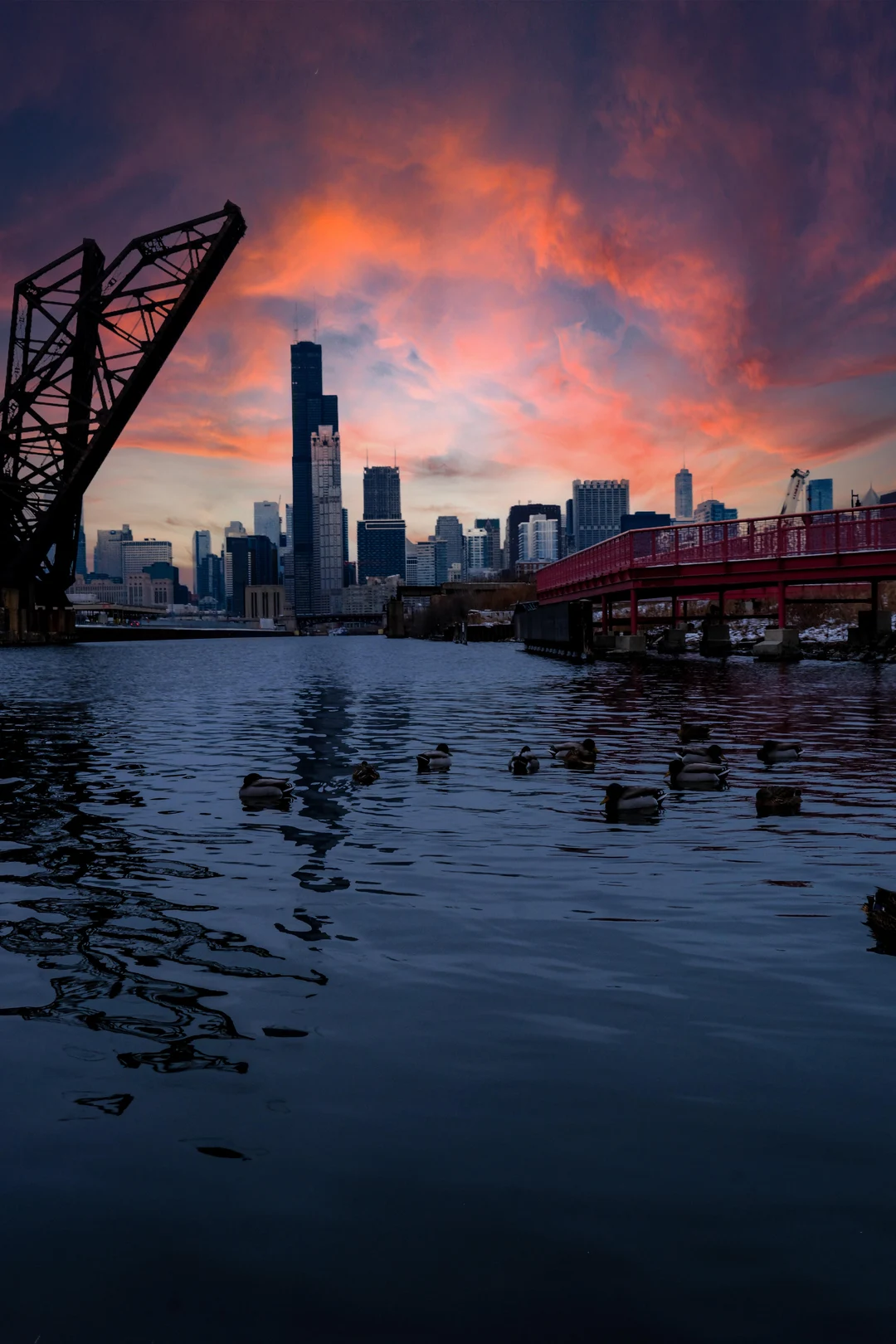 Chicago from Ling Tom Park! [OC] | Scrolller
