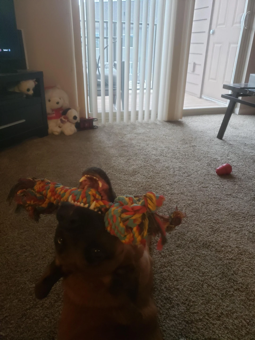 I was inverted | Scrolller