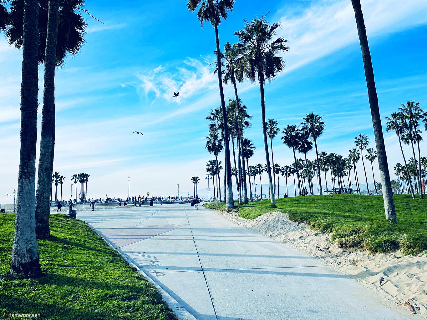 Venice Beach, Los Angeles [OC] | Scrolller
