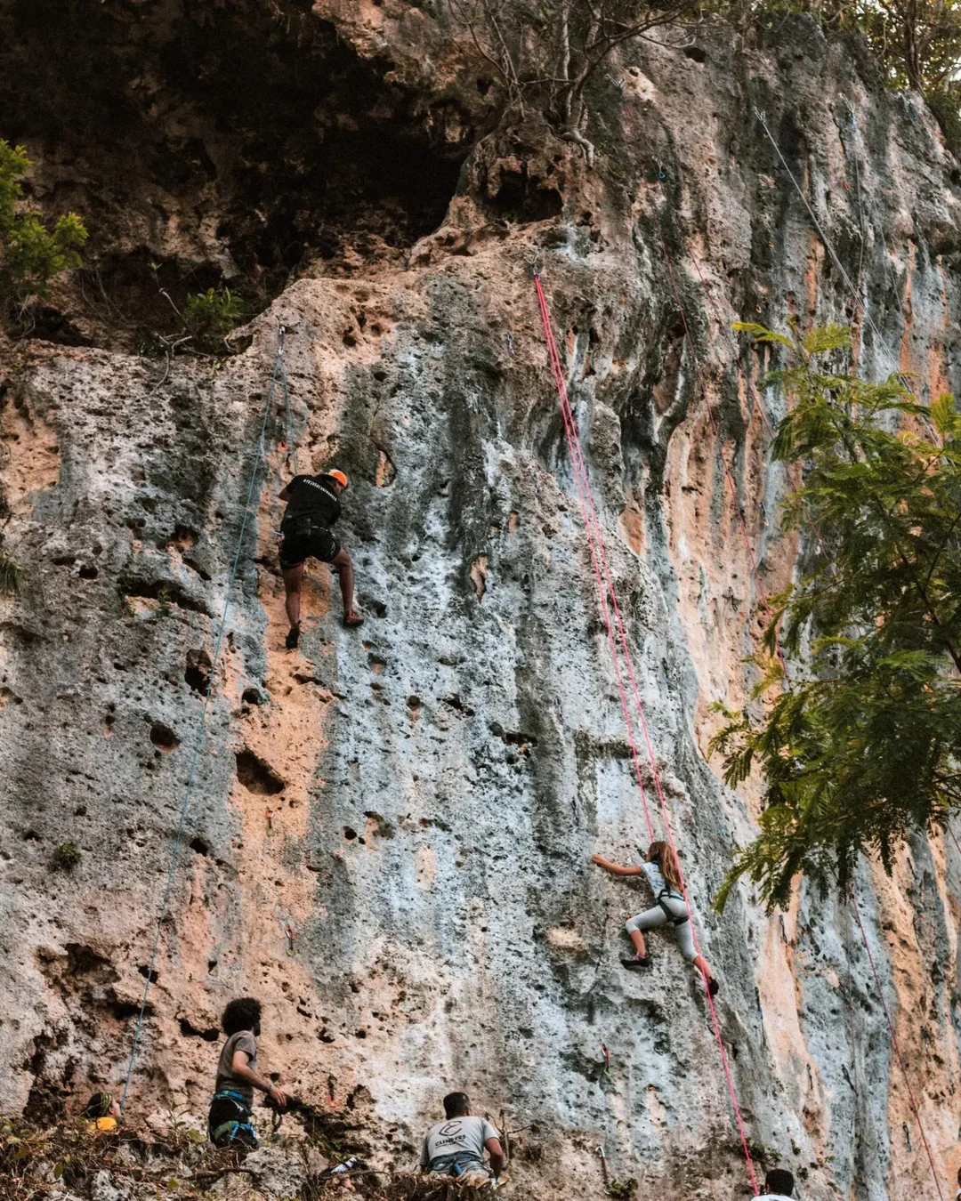Climbing in Dominican Republic | Scrolller