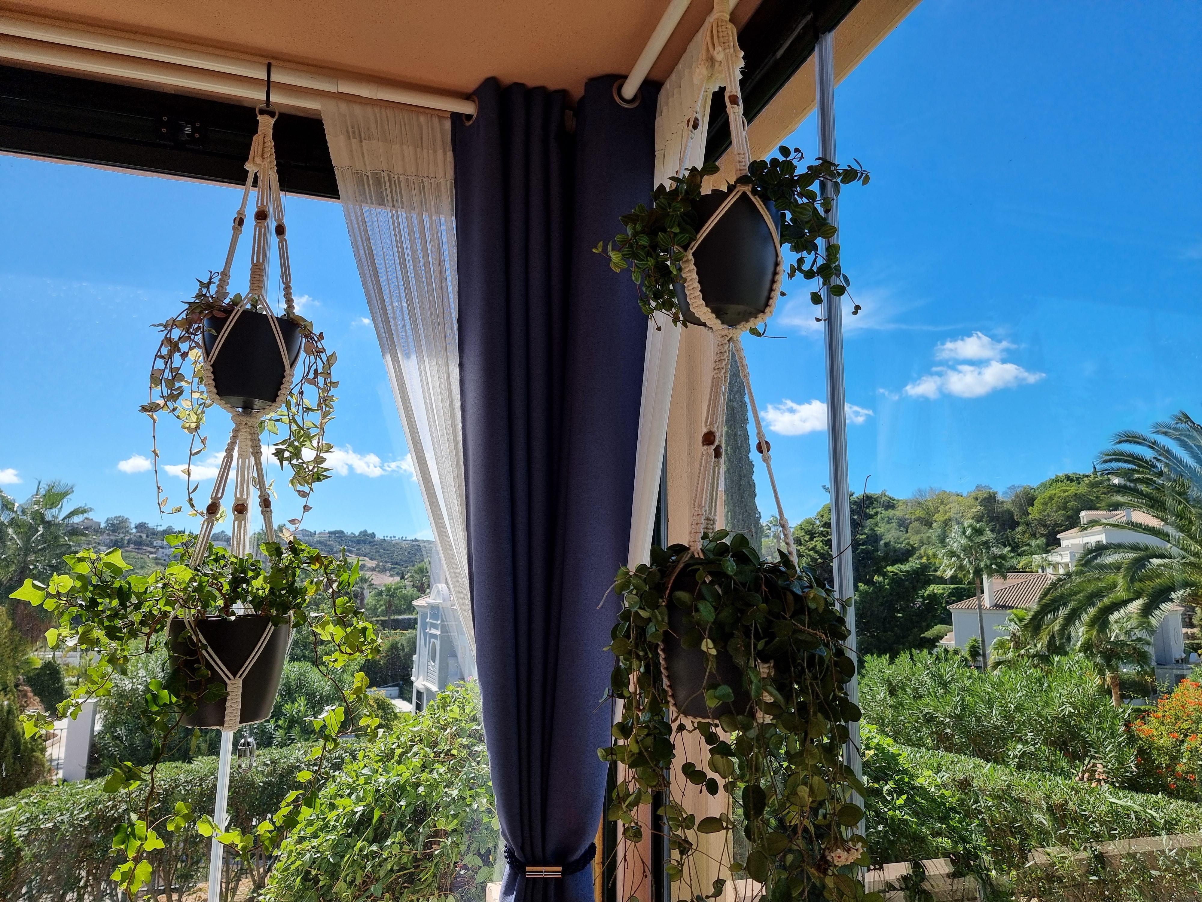 Discover more like Hoyas: Blooming non stop since May and Related Content | Scrolller