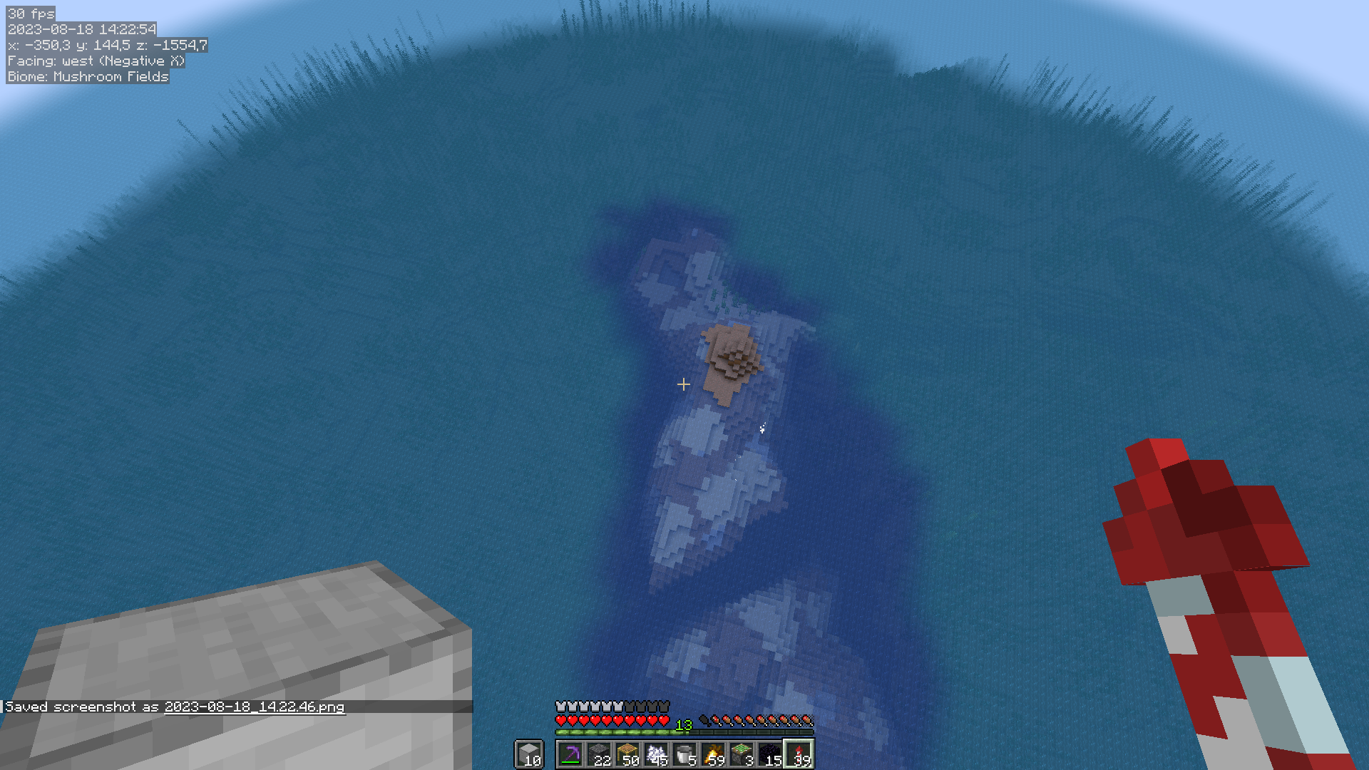 Smallest mushroom island I've ever seen | Scrolller