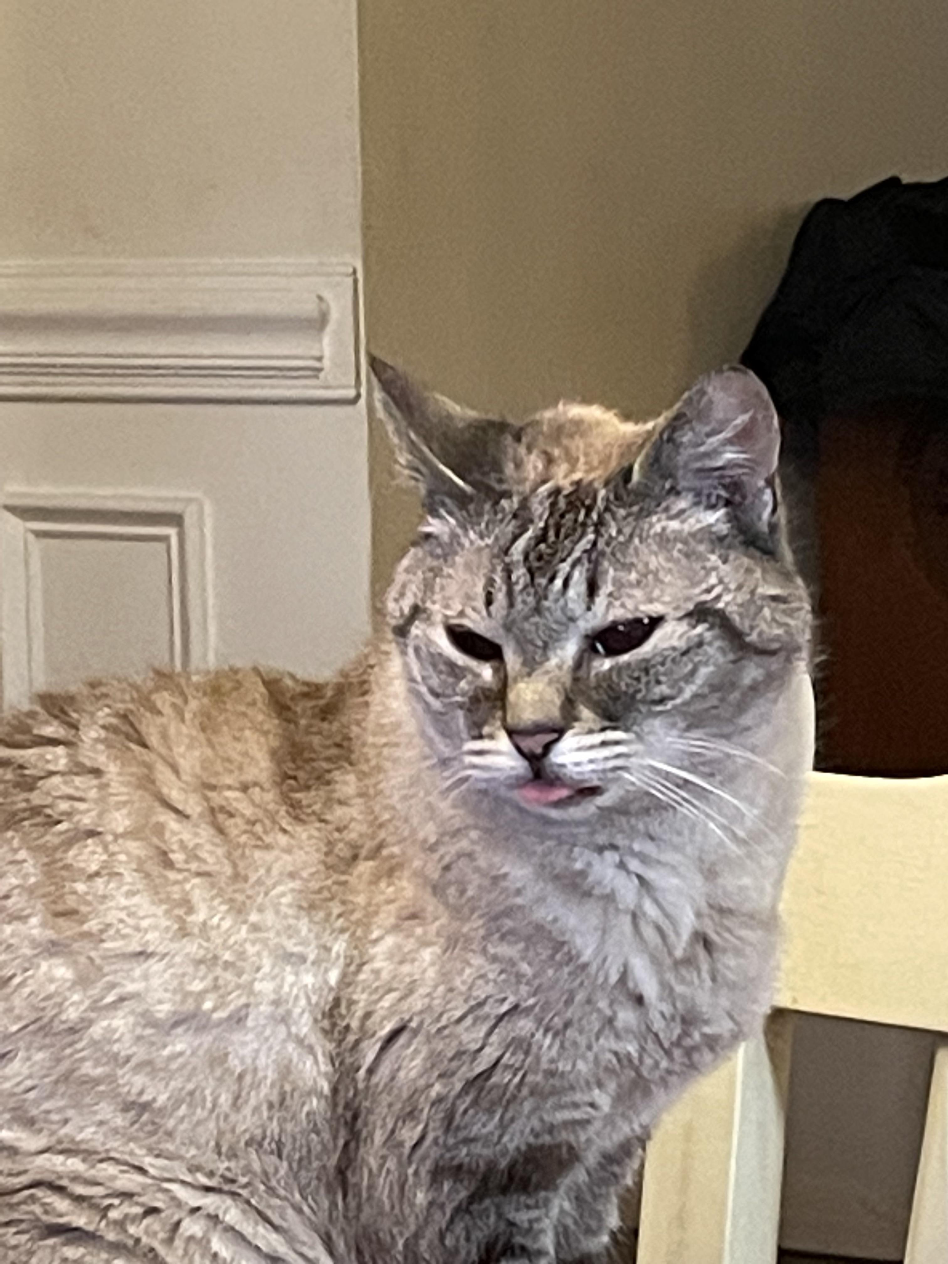 Old Lady Blep | Scrolller