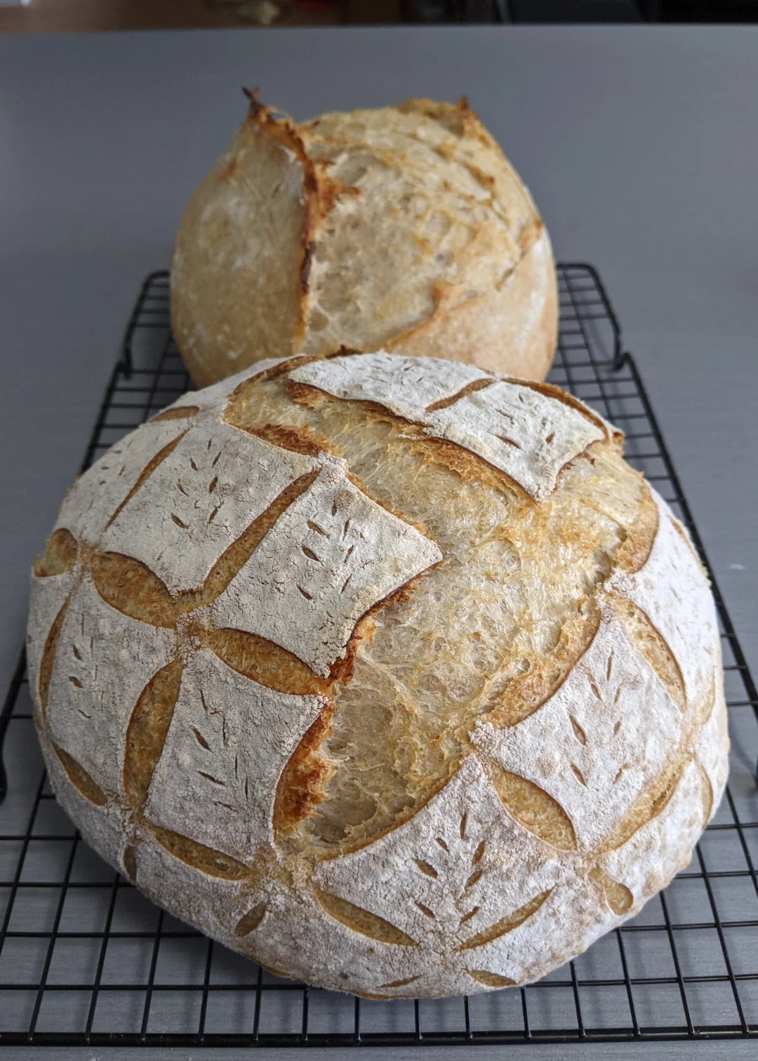 Sourdough loaves for today | Scrolller