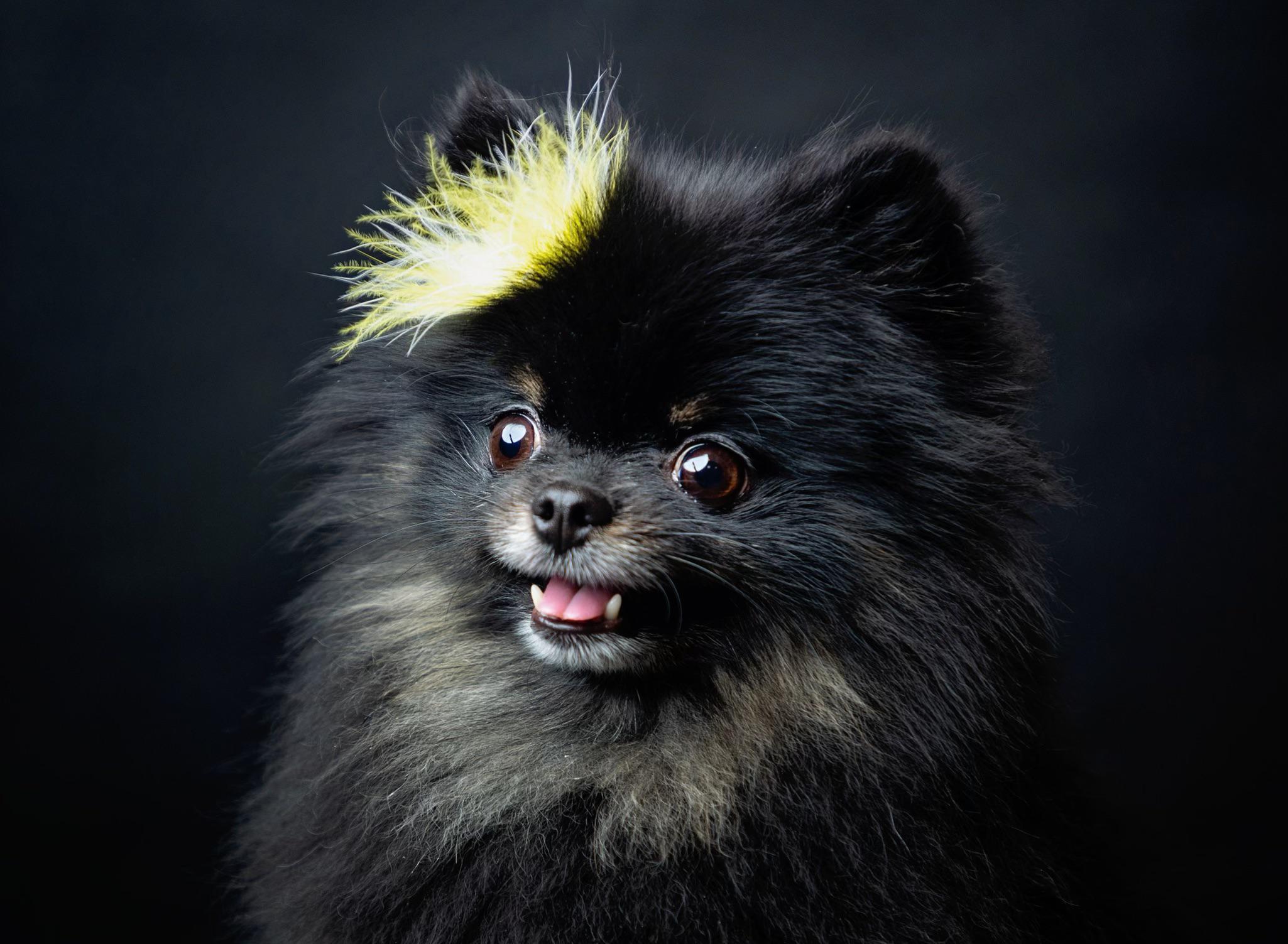 Got pics taken. Do not regret. | Scrolller