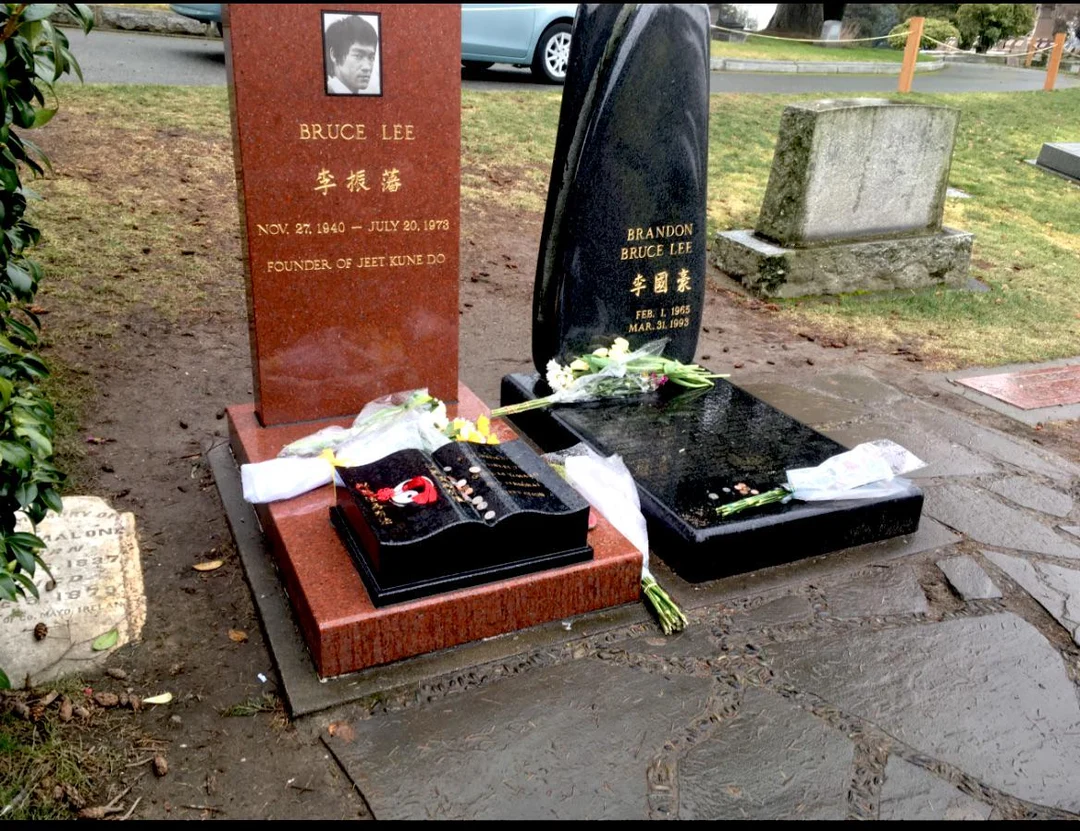 Bruce and Brandon Lee | Scrolller