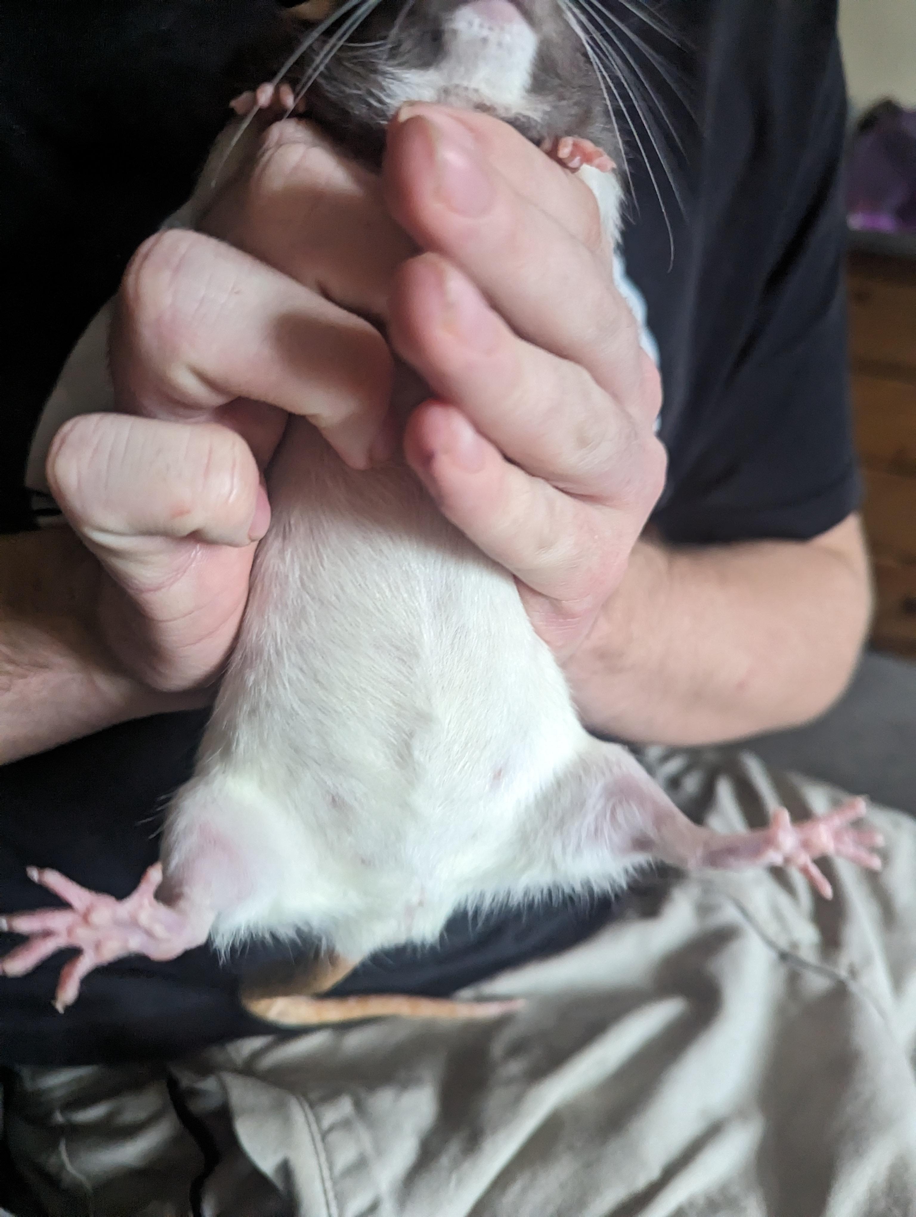 One of my girls being nasty | Scrolller