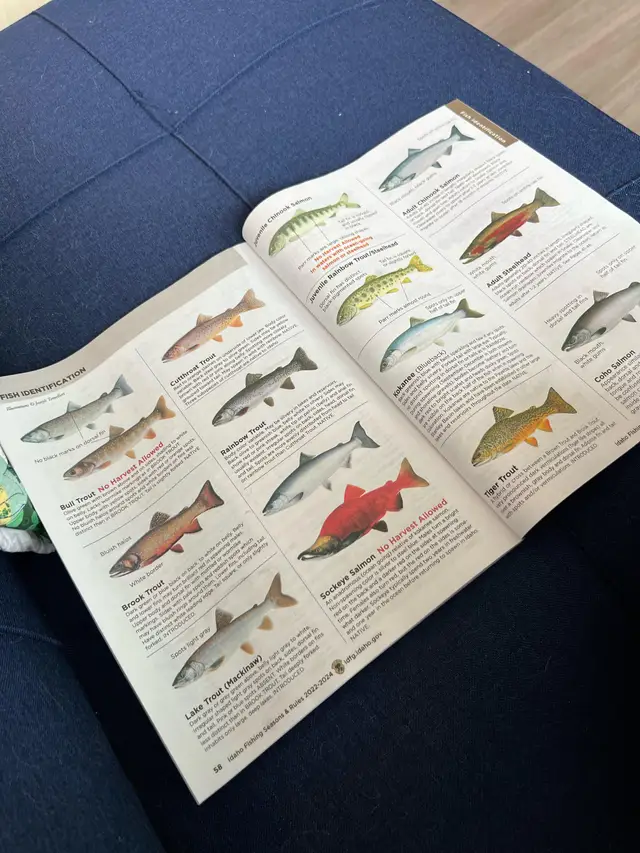 Those in the Boise ID area. What bait have you been using and what have you been catching with ...