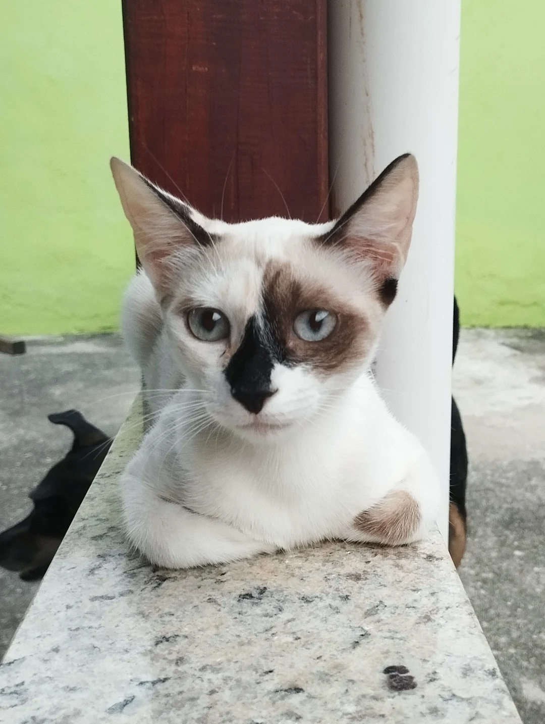 Aminah being a little perfect loaf | Scrolller