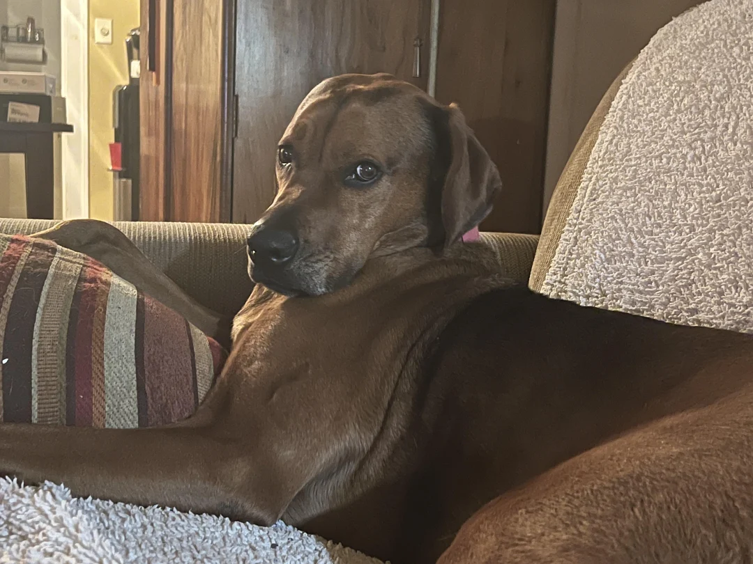 Side Eye | Scrolller