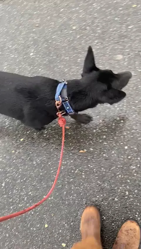 Peanut's on to something | Scrolller