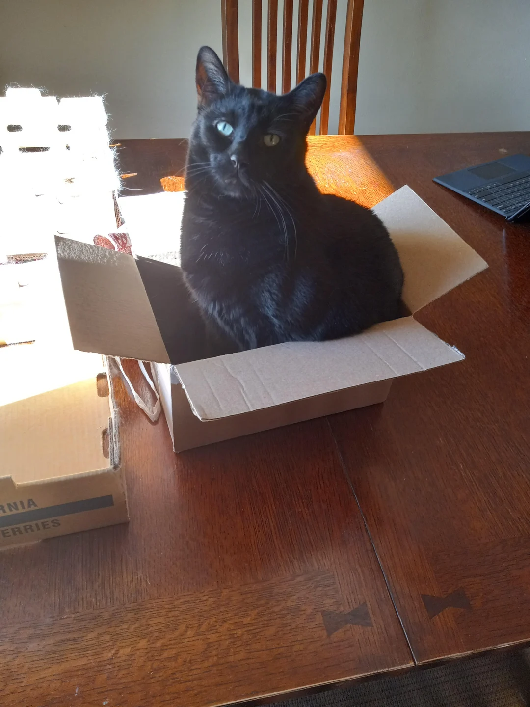 Put a box on the table... Ten seconds later I caught my void. | Scrolller