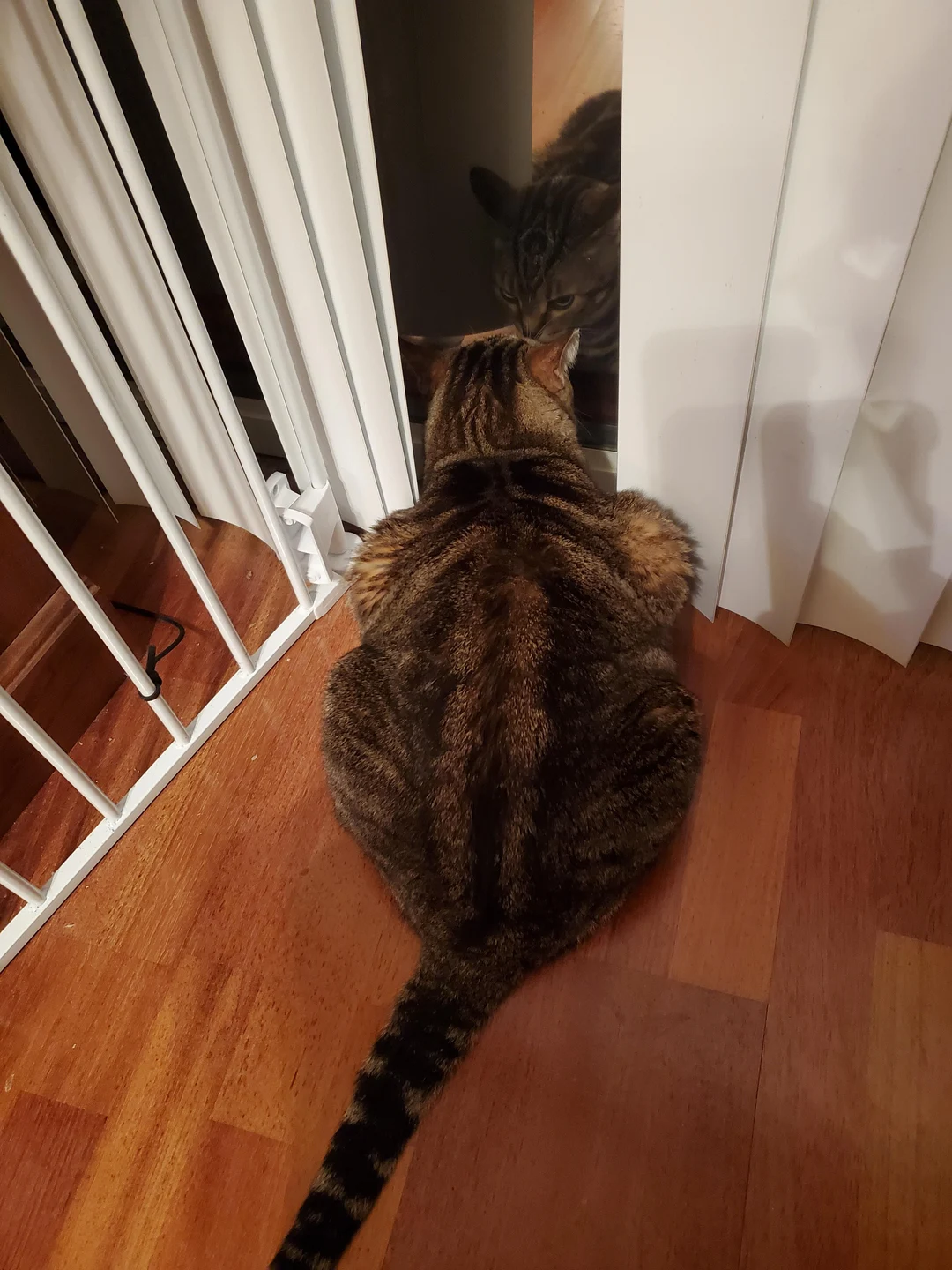 Such an angry loaf | Scrolller