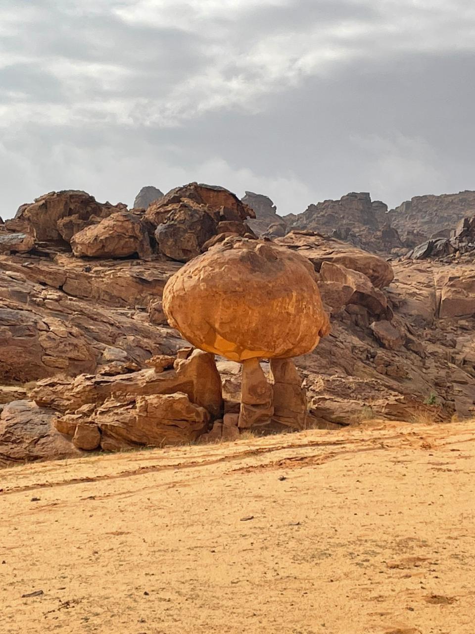 🔥 Erosion factors form a globe | Scrolller