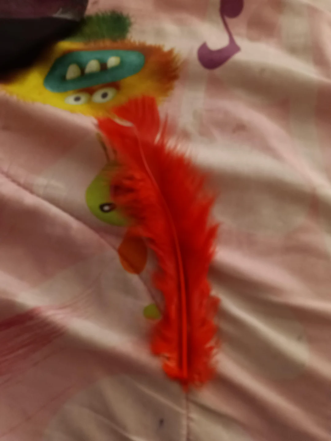 Feather :3 | Scrolller