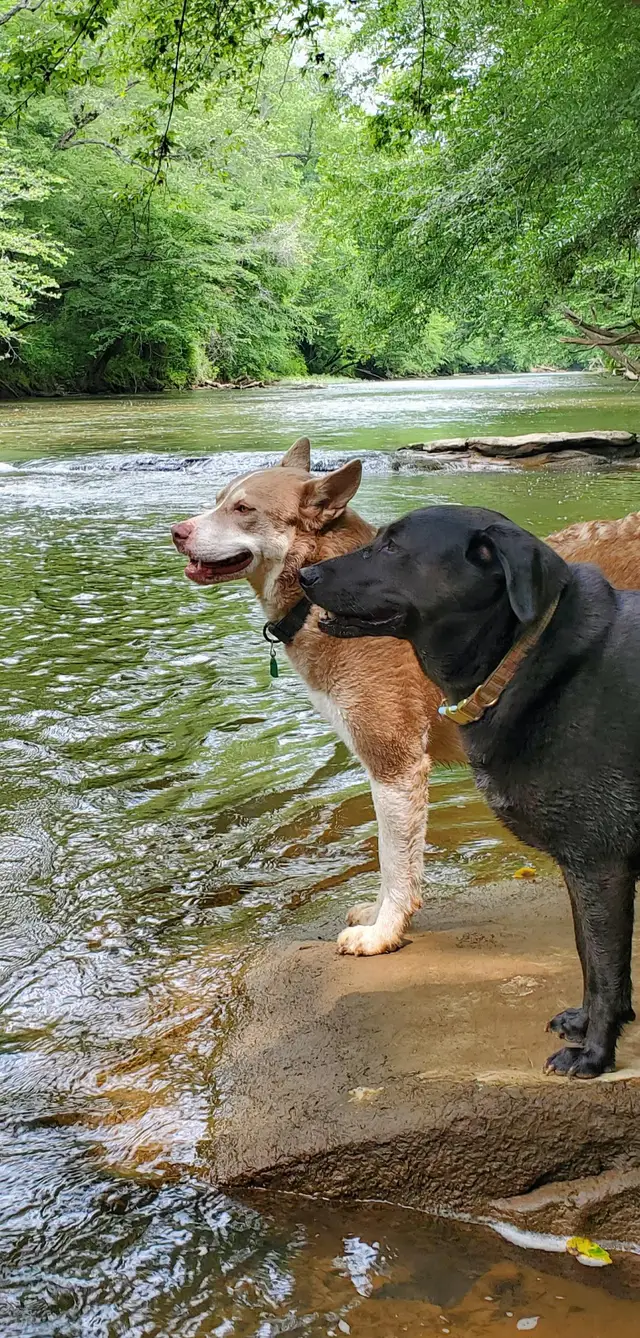 Happiness | Scrolller