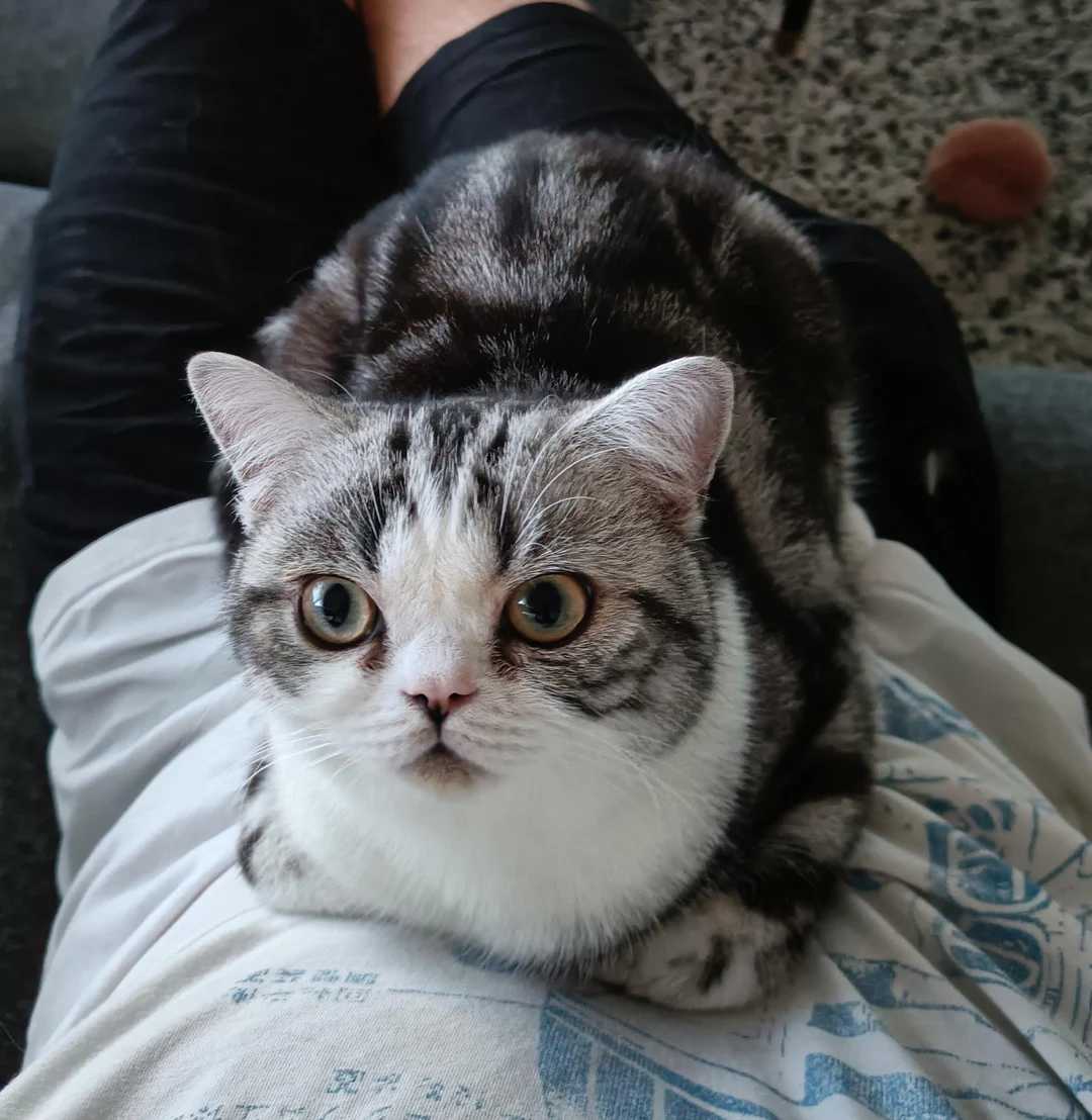 Happy little loaf | Scrolller