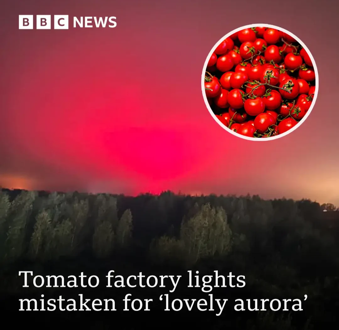 Lovely Aurora 😀 | Scrolller