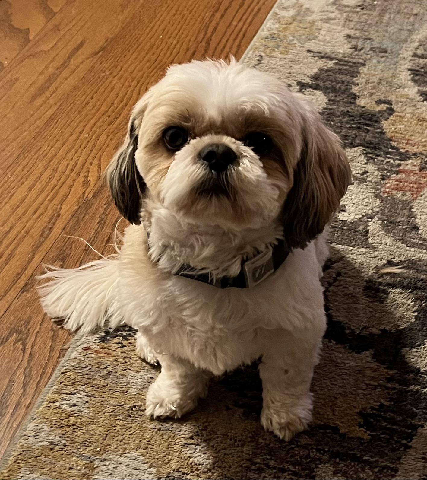 What do you mean “it’s bed time?” | Scrolller