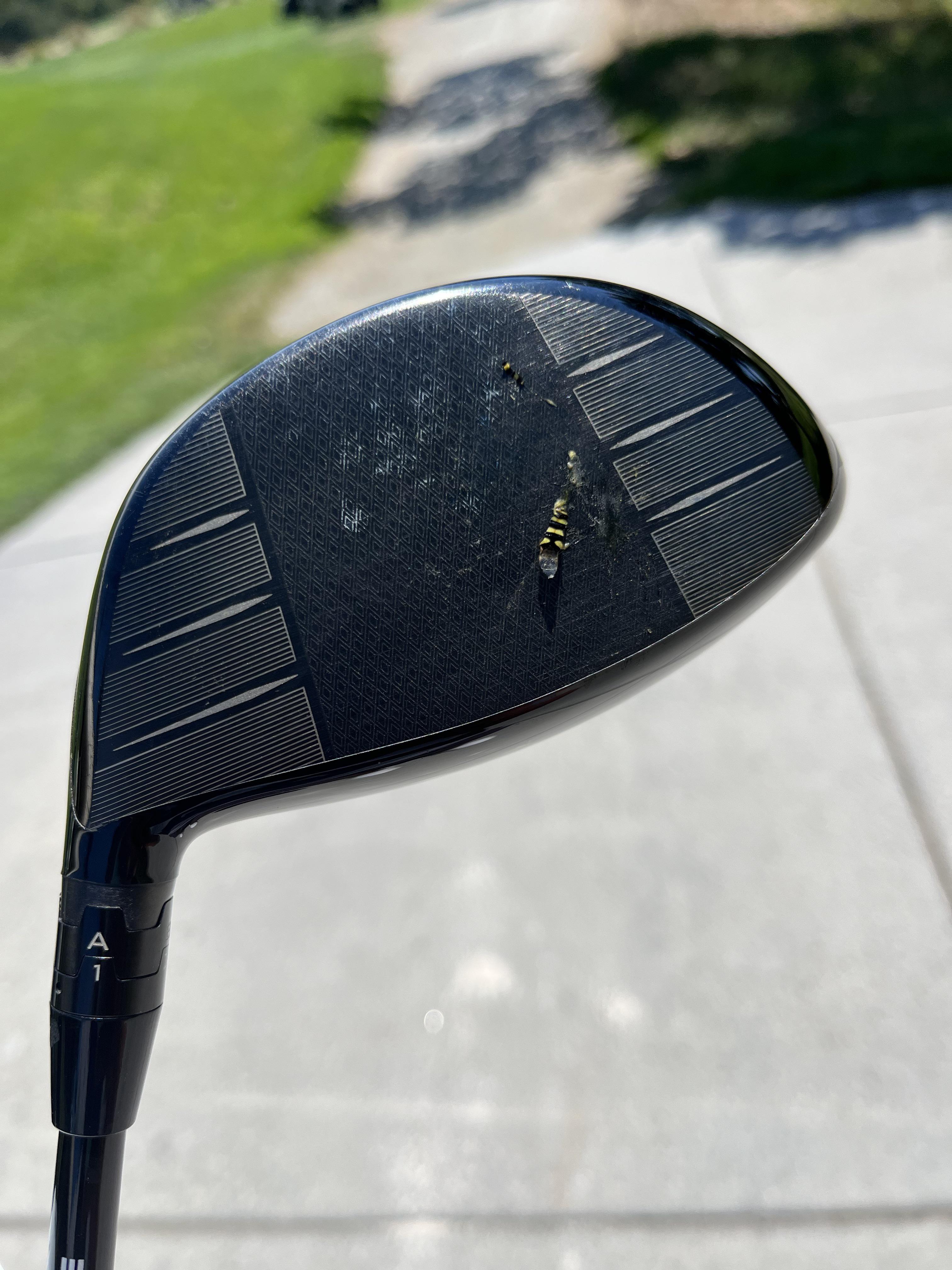 Finally learned how to hit the “stinger” | Scrolller