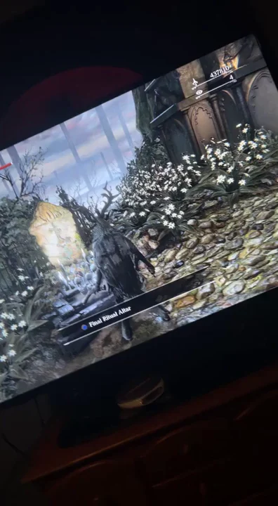 cummmfpk complete. | Scrolller