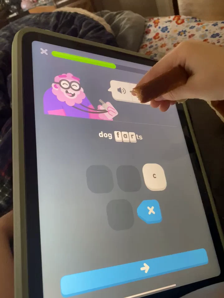 My daughter’s Duo Lingo lesson got a bit weird | Scrolller
