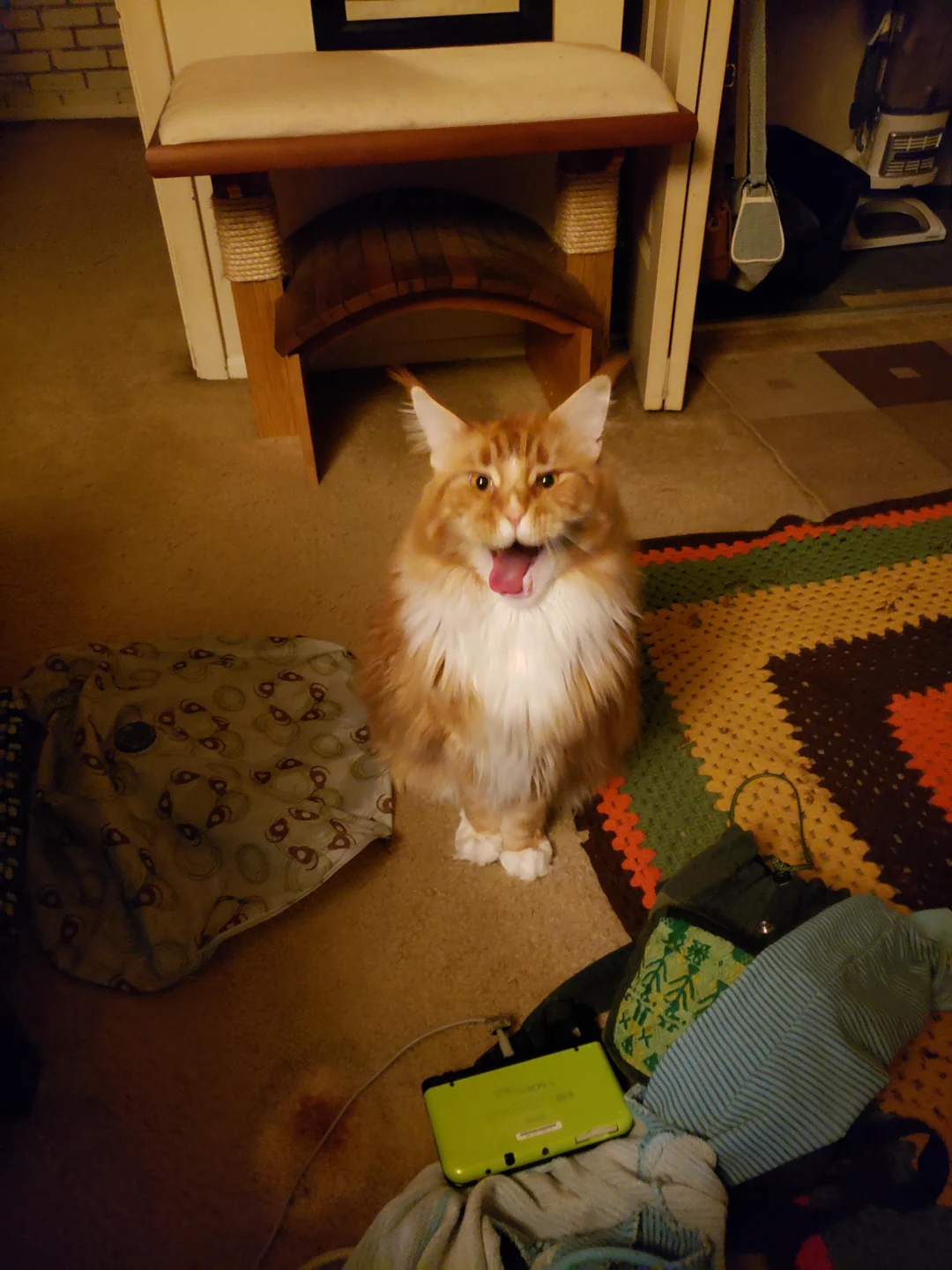 Rocco being a dork :P | Scrolller