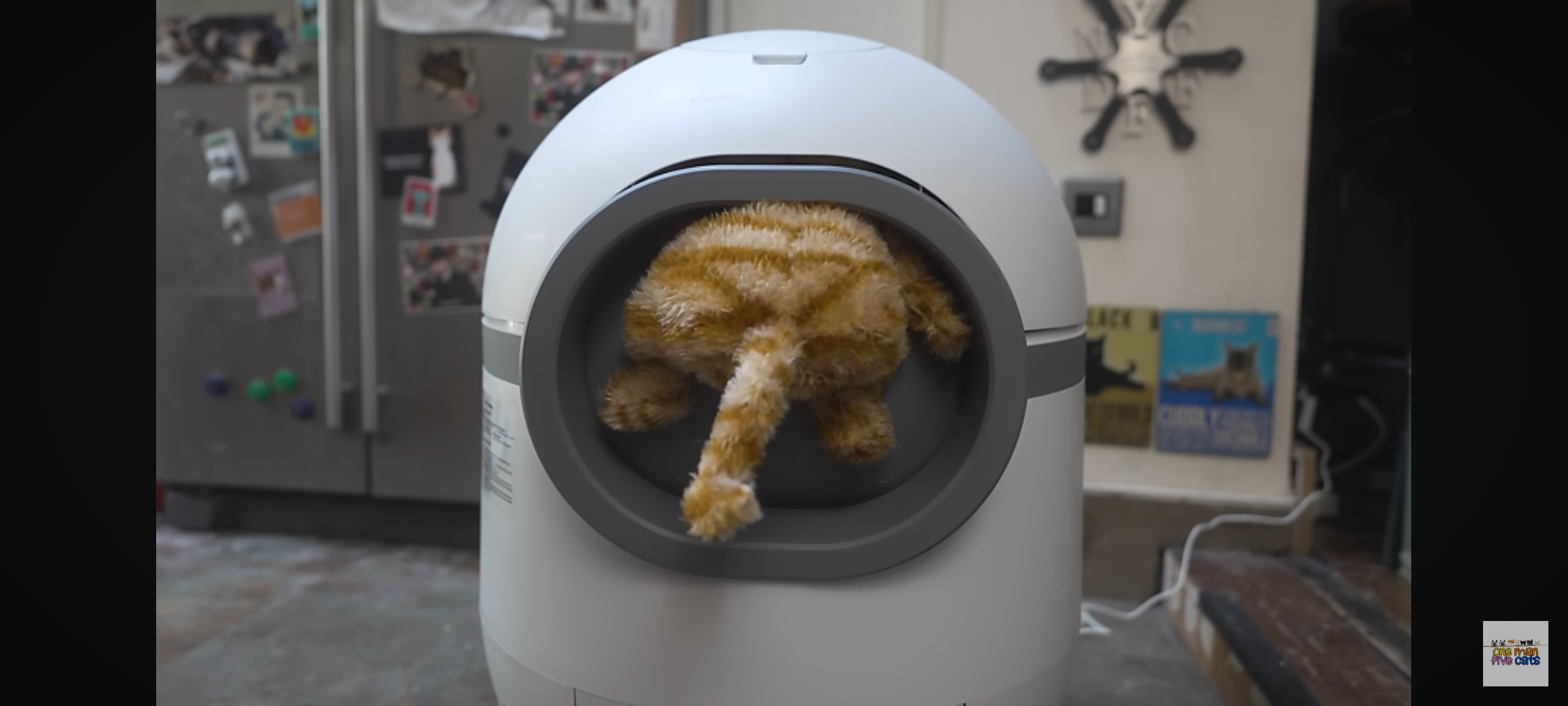Automatic self-cleaning litter box becomes a death trap if the sensor doesn't work. | Scrolller